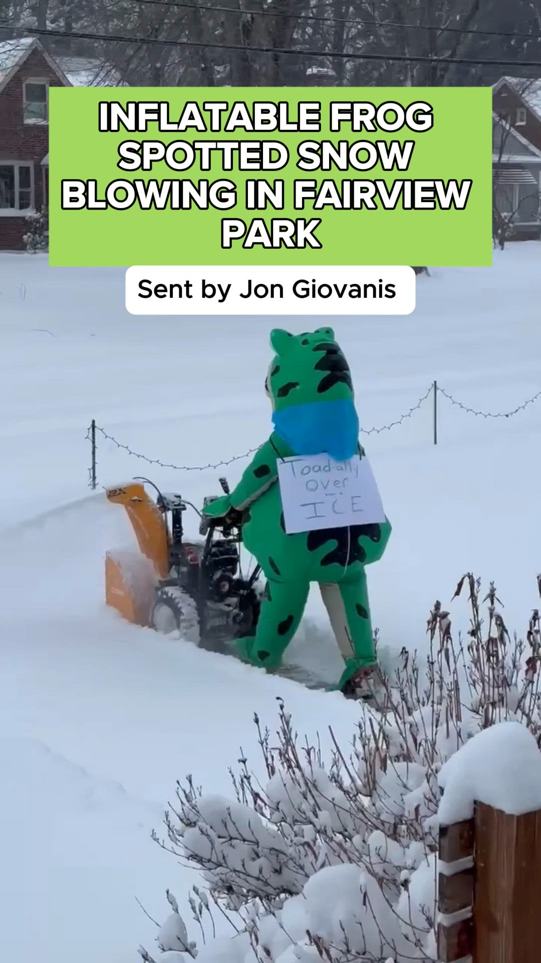 Inflatable frog spotted snow blowing in Fairview Park | wkyc.com