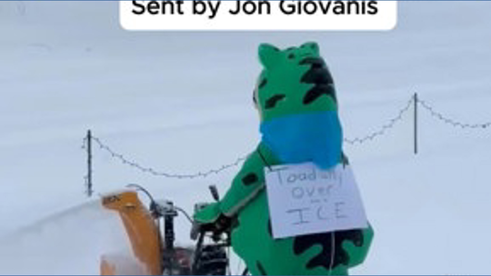 Inflatable frog spotted snow blowing in Fairview Park | wkyc.com
