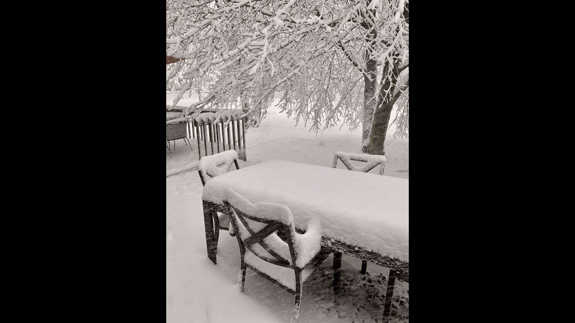 Snow in Northeast Ohio: Pictures you have to see | wkyc.com