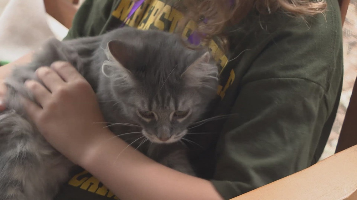 ‘Kitten Camp’ builds connection, comfort and healing for kids facing ...