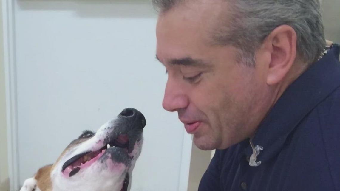 Monica Robins remembers former 3News colleague Bill Safos, who died ...