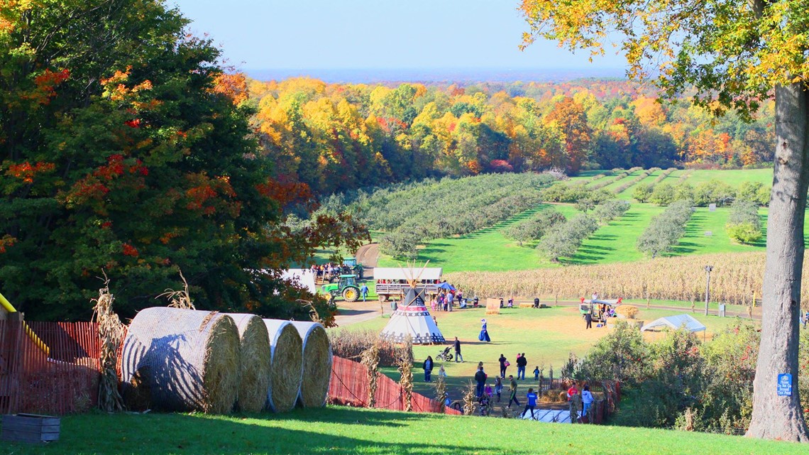 Laura DeMarco's Cleveland Fall Fun Guide: Drive-thru festivals, food ...