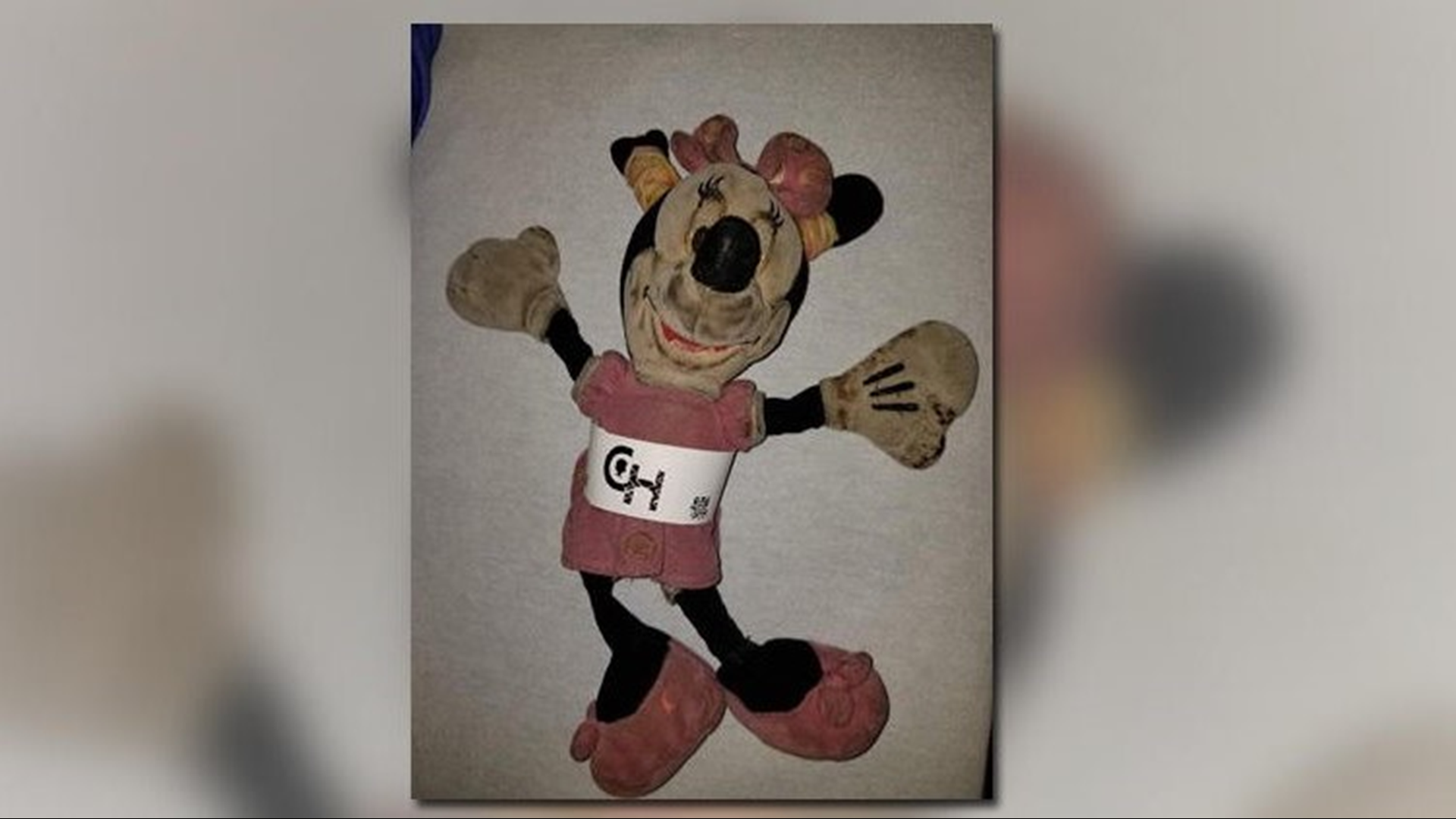 Search for missing 'Minnie' doll that has been with girl for 40 ...