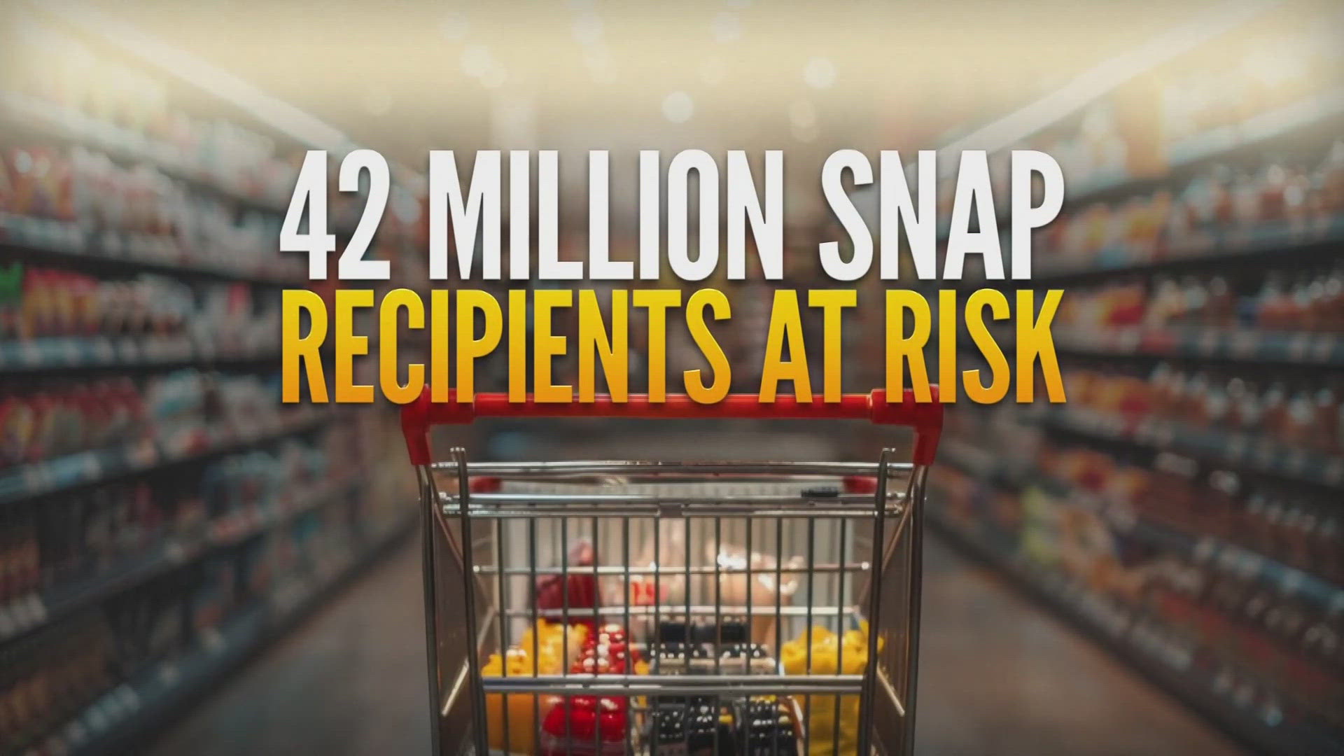 Now in America: 42 million Americans could lose access to SNAP benefits ...
