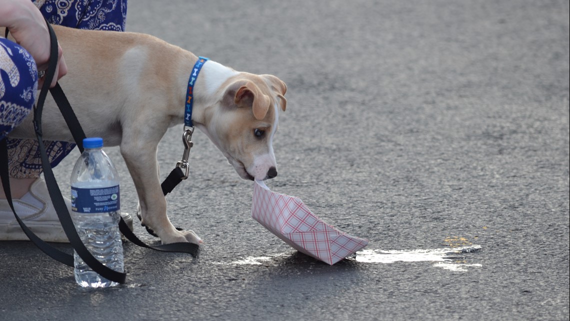 Normandy High School to honor WWE Superstar Mike “The Miz” Mizanin with ...