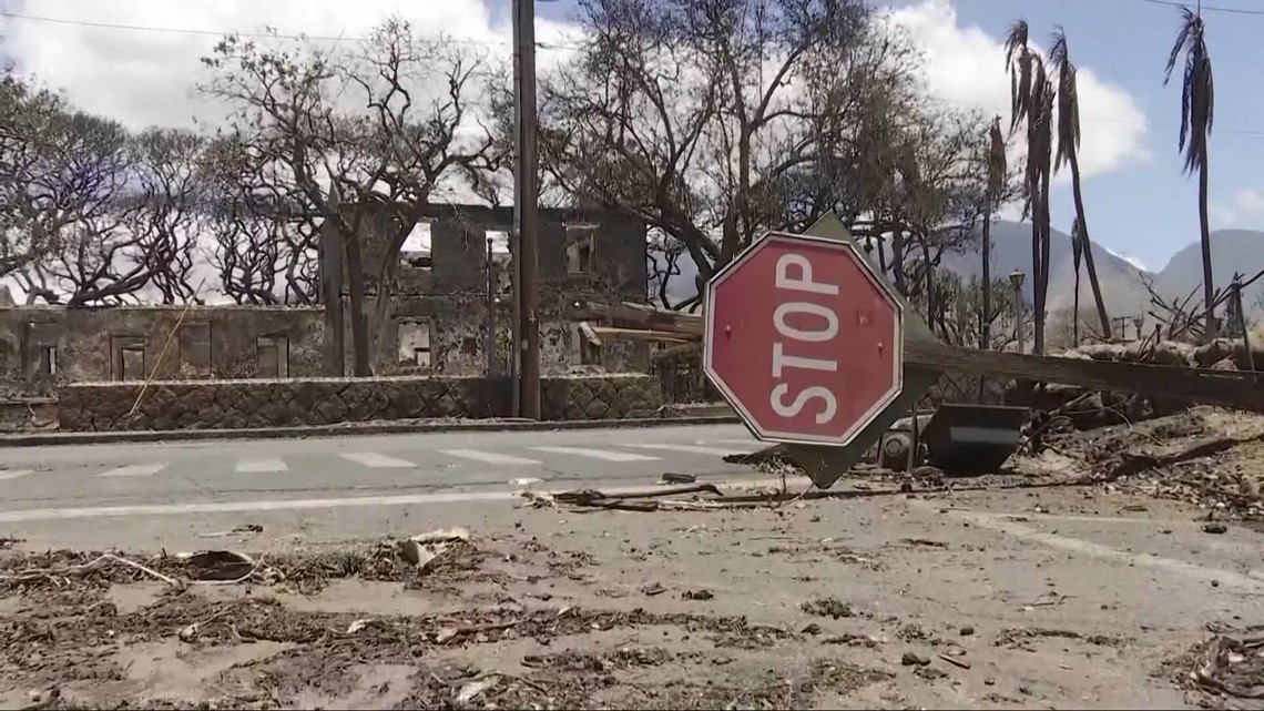 As death toll from Maui fire reaches 93, authorities say effort to ...