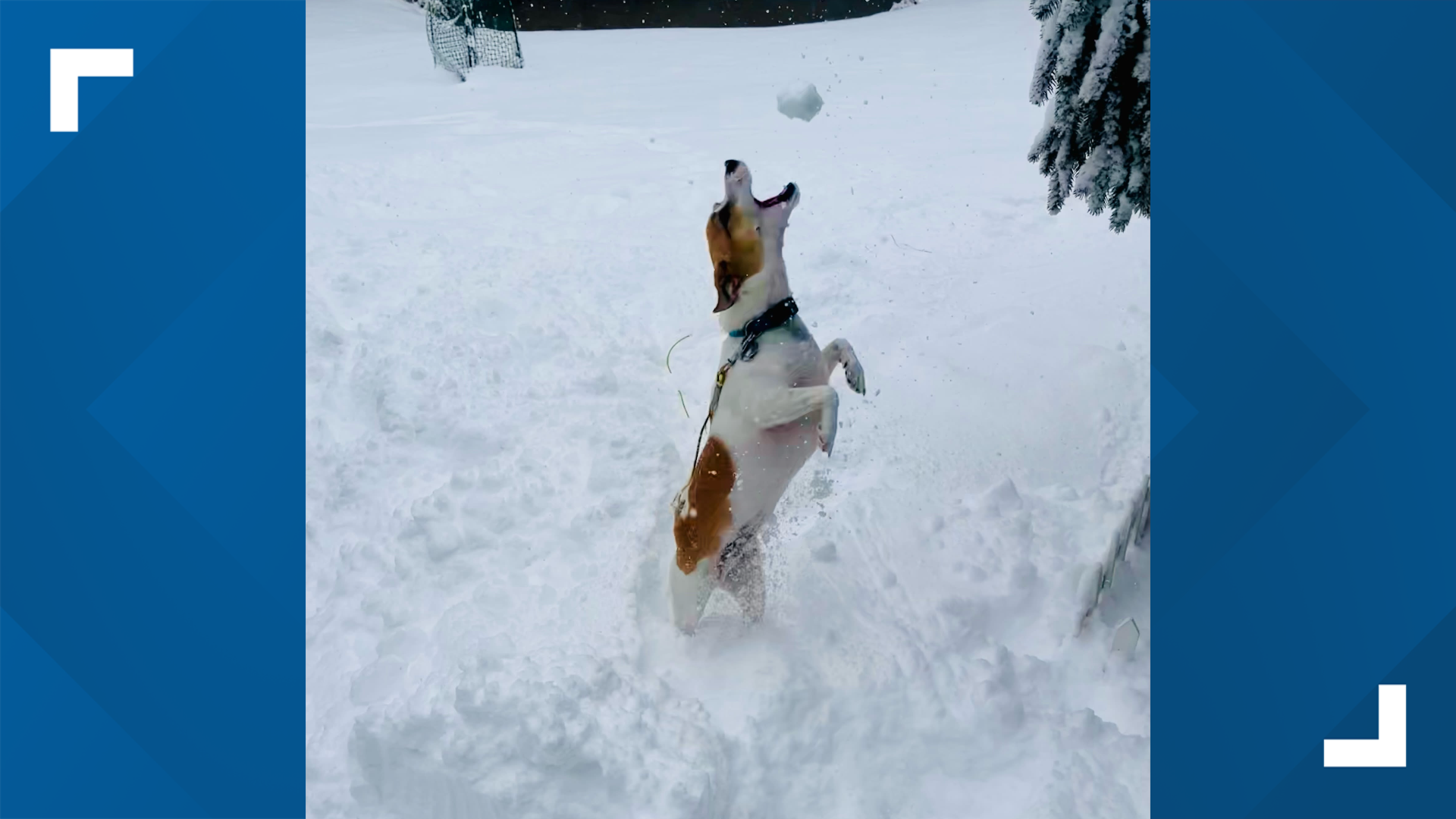 Lake effect snow in Northeast Ohio: Cleveland weather updates | wkyc.com