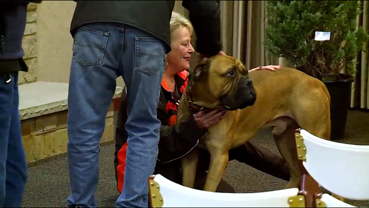 Browns fans say final goodbye to beloved former mascot Swagger | wkyc.com