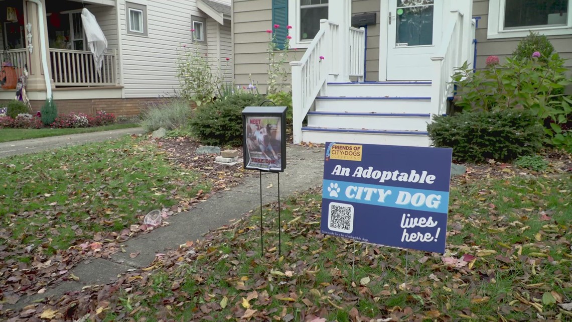 Yard signs raise awareness for good "paws." Ready Pet GO! | wkyc.com