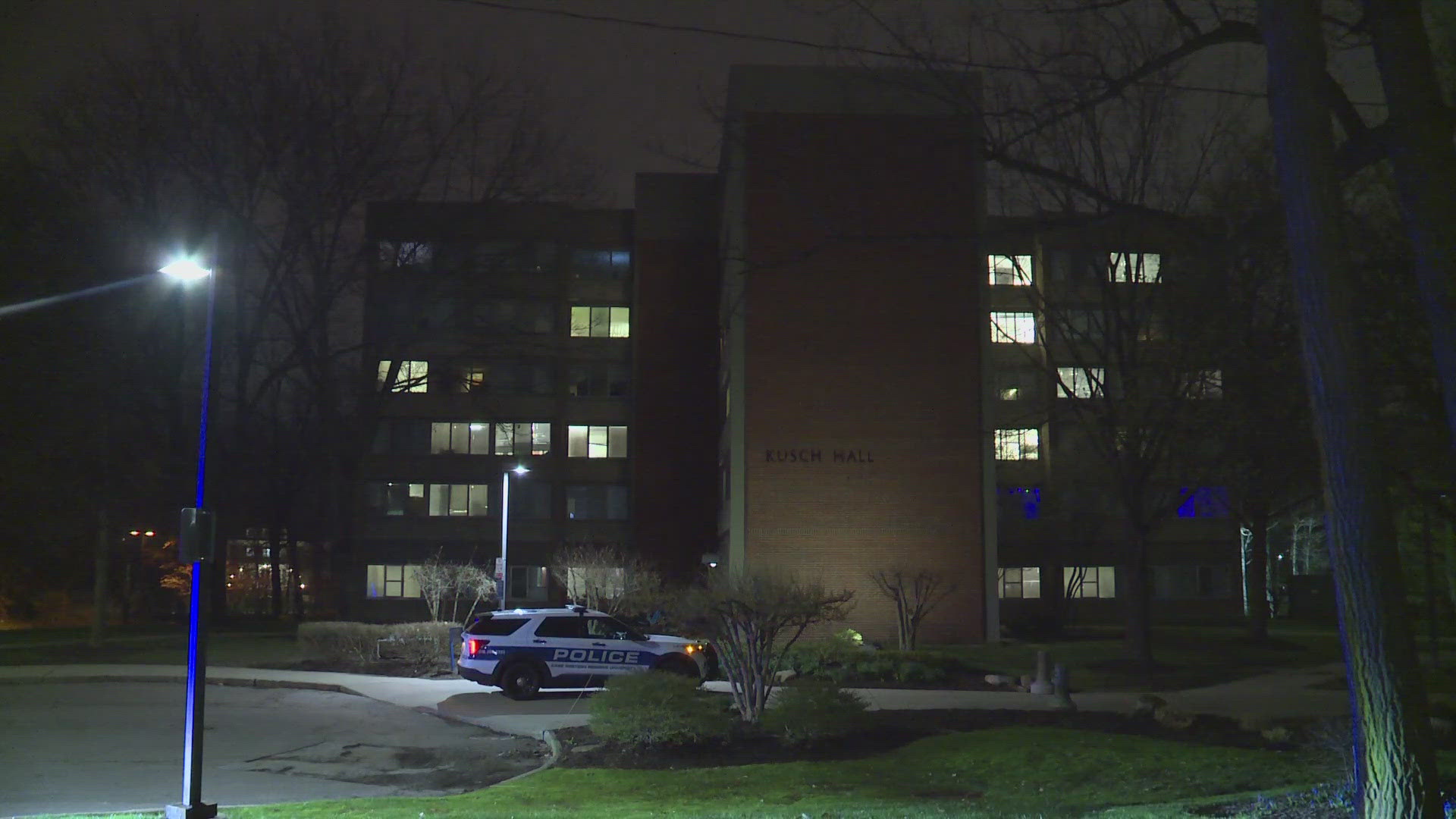 WATCH | Full video of gorilla incident at Cincinnati Zoo | wkyc.com