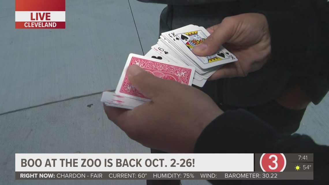 Halloween events at Cleveland Metroparks Zoo: What to expect this year ...