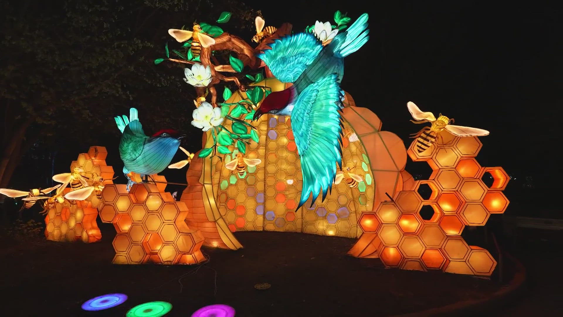 Asian Lantern Festival returns to Cleveland Metroparks Zoo this summer ...
