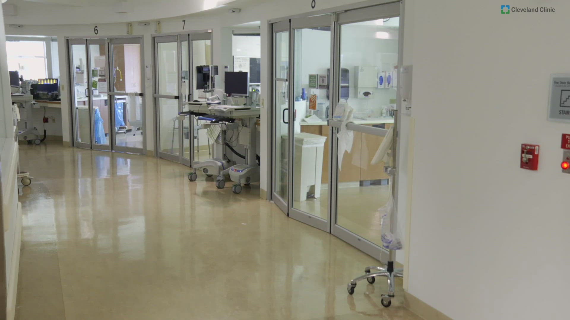 ICE Deputy Director resigns, announces run for Rep. Marcy Kaptur's seat in Ohio | wkyc.com