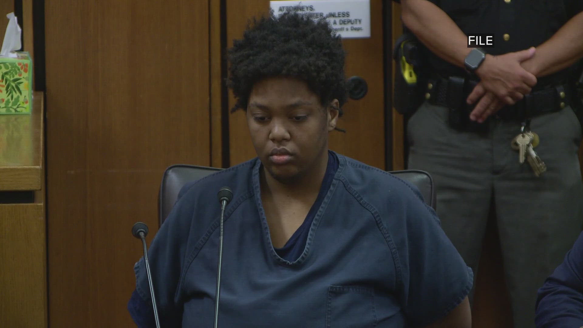 Bionca Ellis changes plea to insanity in fatal stabbing of 3-year-old ...