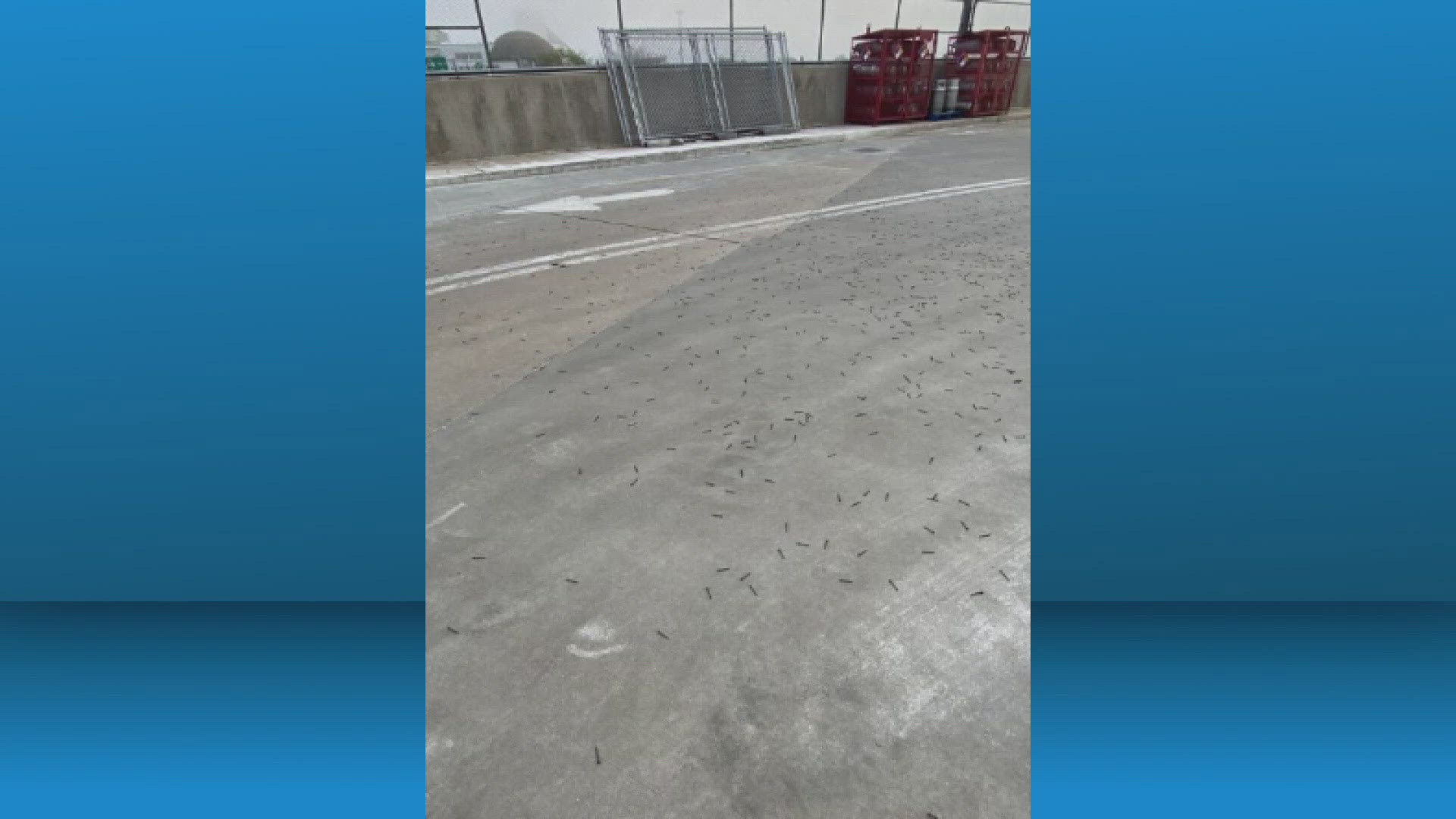 'I would shoot you if I could': Substitute teacher arrested after ...