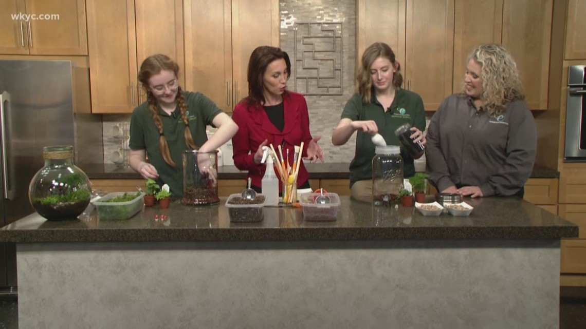 Girls in STEM | Fun with terrariums | wkyc.com