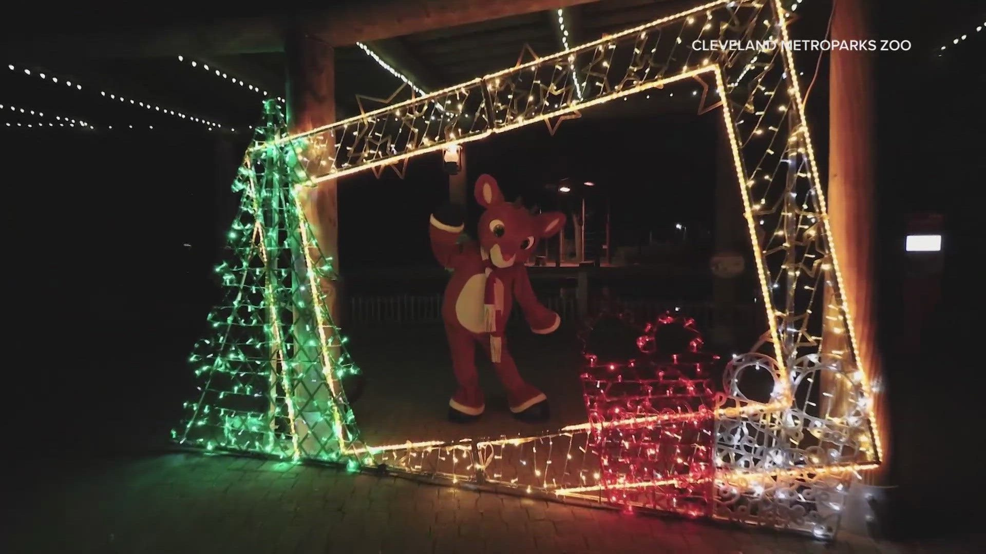 Cleveland Metroparks Zoo adds 3 final nights to Wild Winter Lights ...