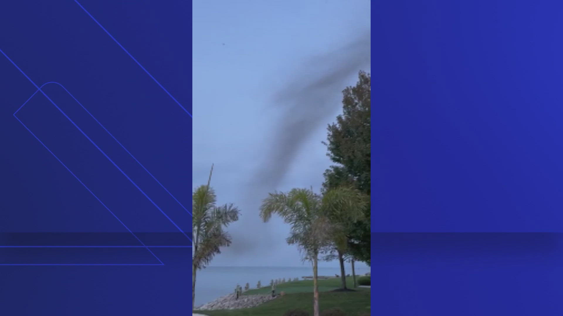 Midges seen swarming near Lake Erie | wkyc.com