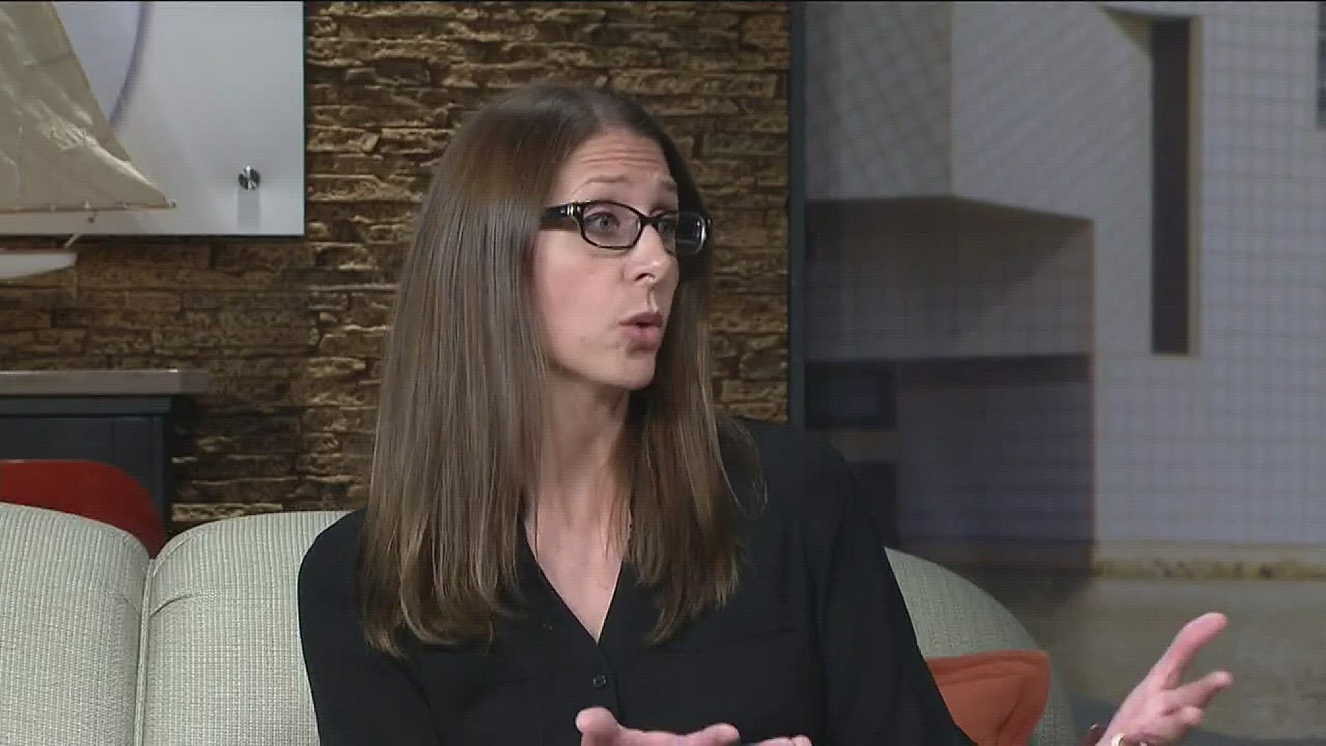 Melissa Skinner- Patio Enclosures & Stanek Window Brands 5.27.16 | wkyc.com