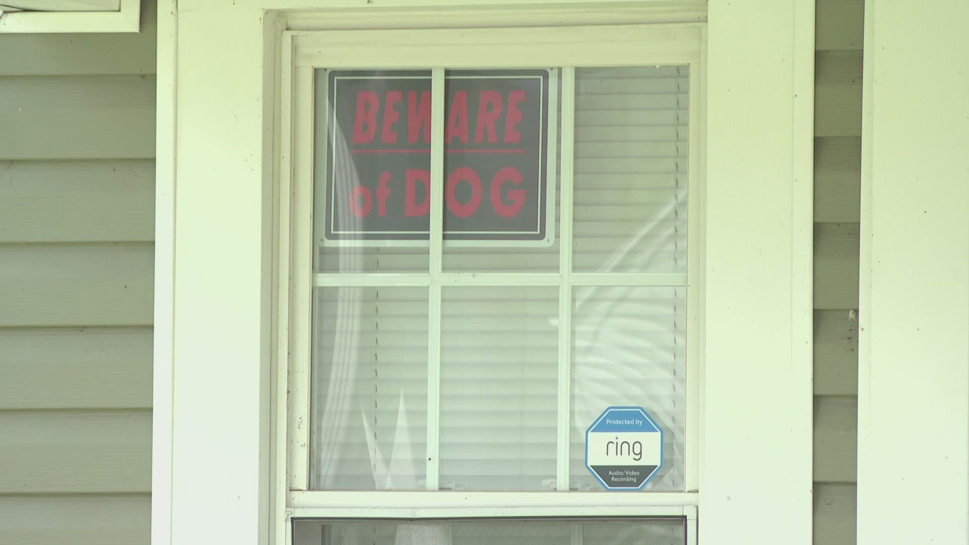 Stark County deputy shoots, kills 2 aggressive dogs in Canton; owner ...