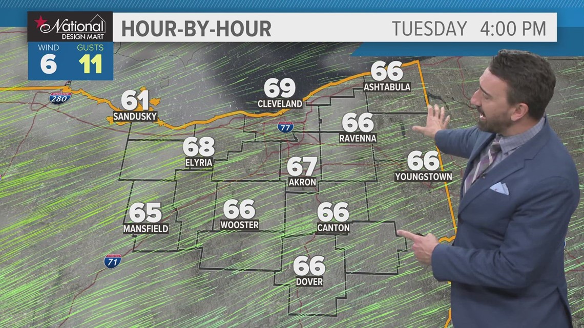 Ohio Dad Transforms Backyard Into Baseball Field For 5 Year Old Son