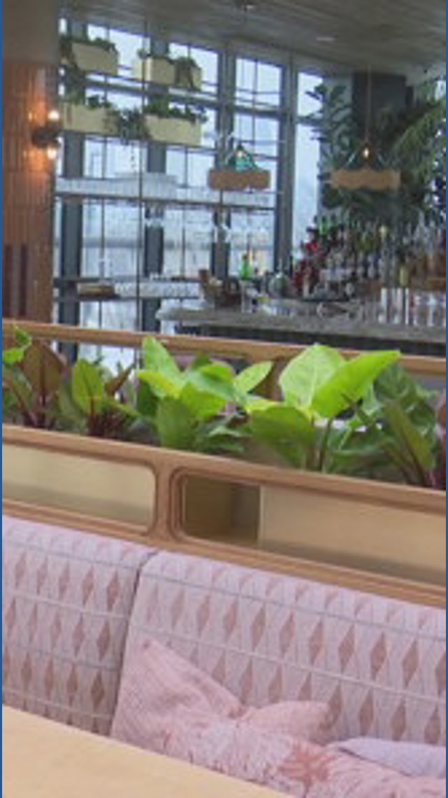 Jaja reopens Feb. 3 in Cleveland's Ohio City, unveils new menu after ...
