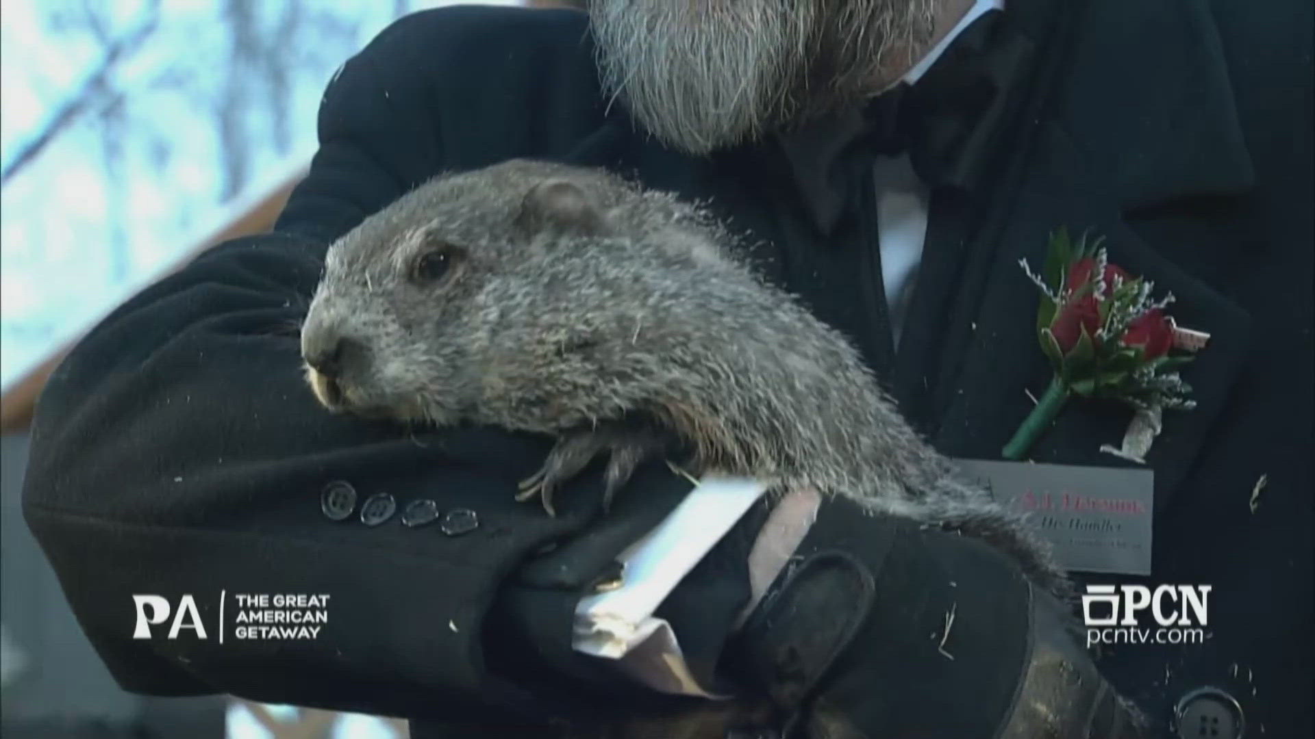 Groundhog Day 2026: Did Punxsutawney Phil see his shadow? | wkyc.com