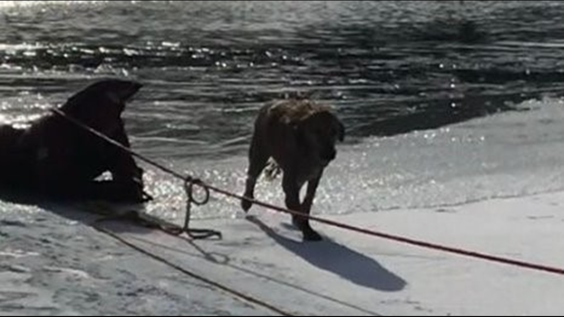 Dog rescued from icy waters at Geauga County resort campground | wkyc.com