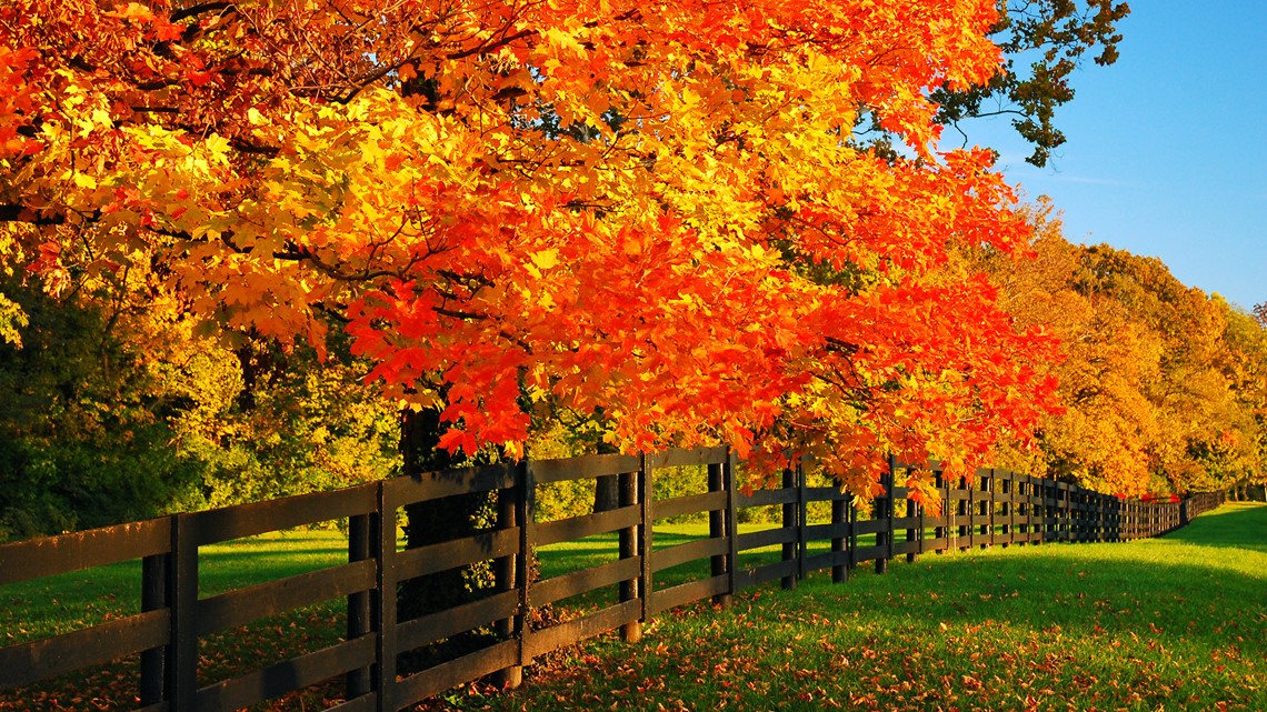 When Do Fall Colors Peak In Ohio Here s A Fall Foliage Timeline Wkyc