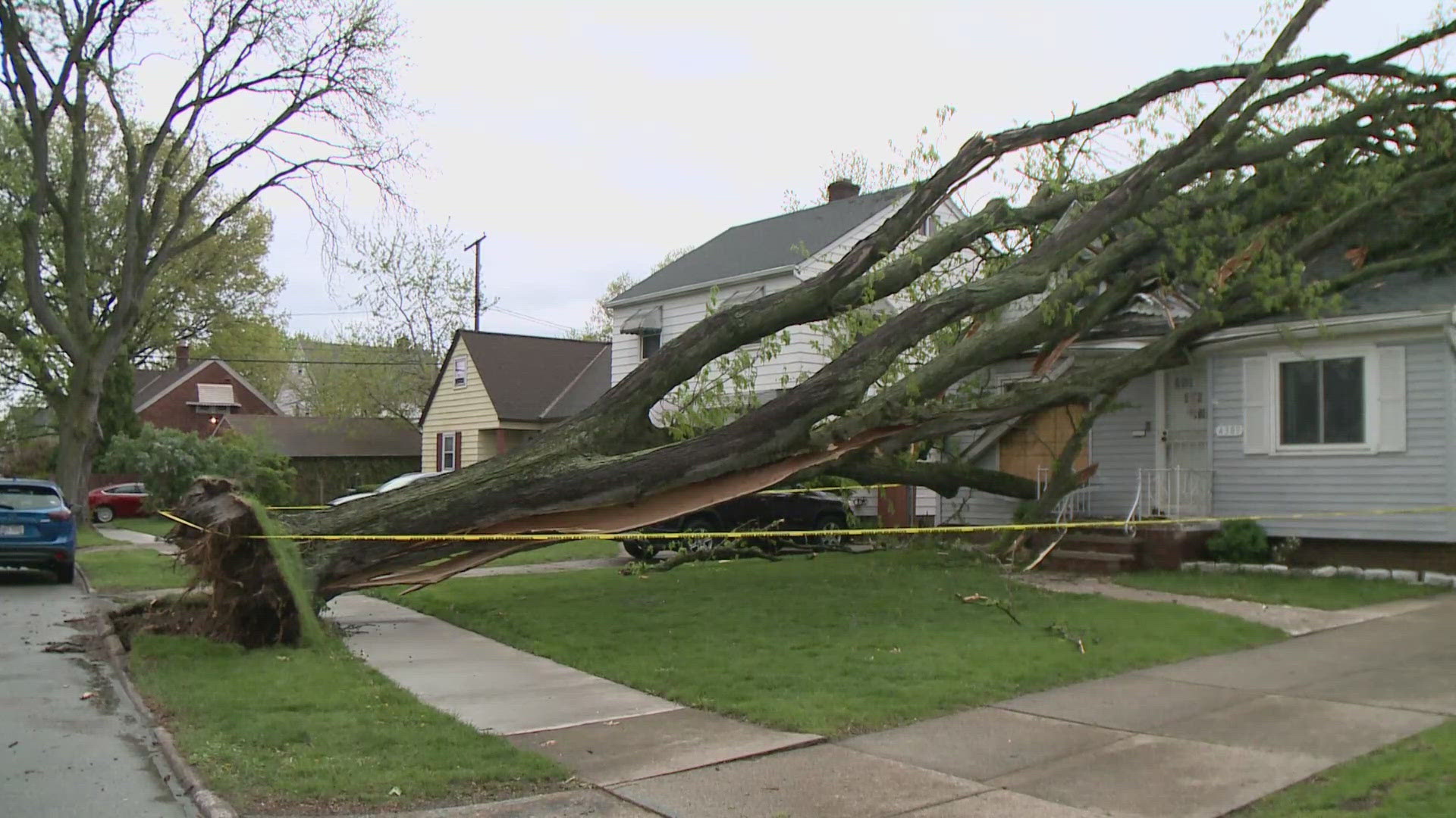 Severe storms in Northeast Ohio leave behind trail of downed trees ...