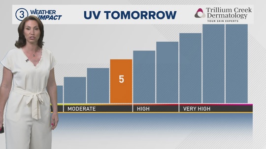 Who is new Cleveland Police Chief Dorothy Todd? | wkyc.com