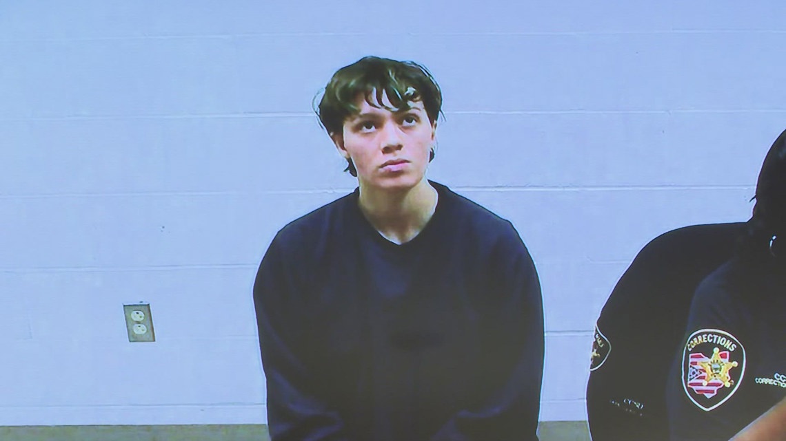 Viktor Vendler pleads not guilty to charges including murder | wkyc.com