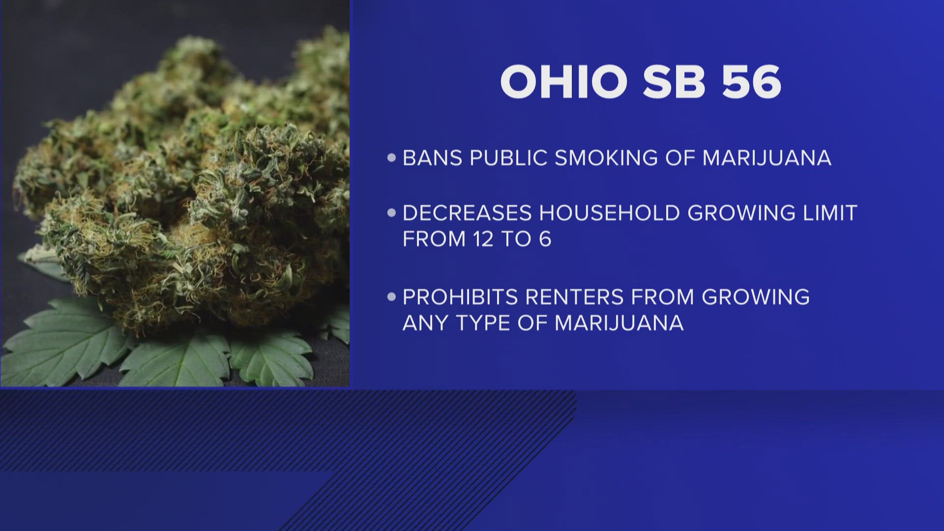 Ohio Senate passes bill to change marijuana law | wkyc.com