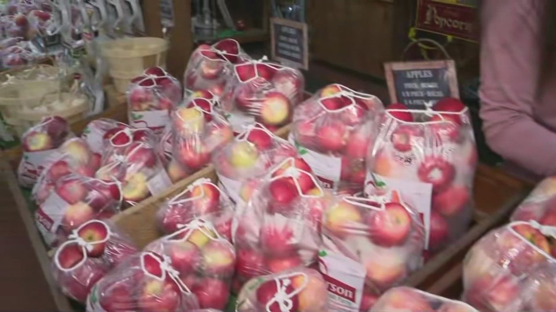 Visiting Patterson Fruit Farm in Chesterland this fall season | wkyc.com