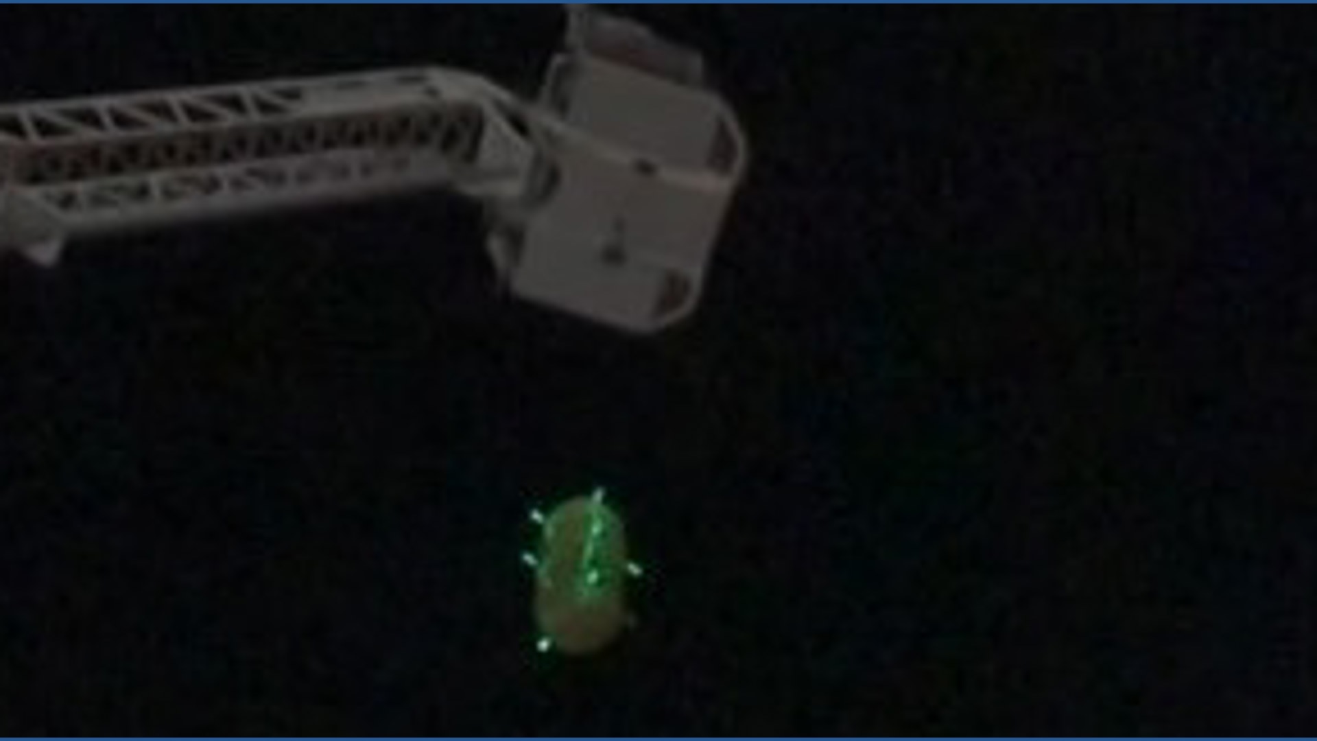 NYE Pickle Drop celebration in North Carolina | wkyc.com