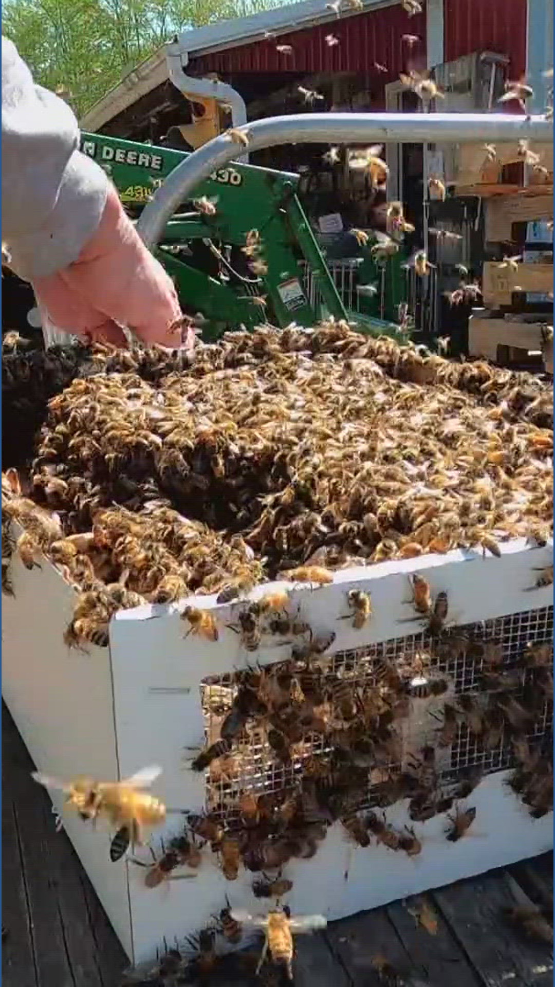 Beekeepers travel to Medina County for annual bee pickup | wkyc.com