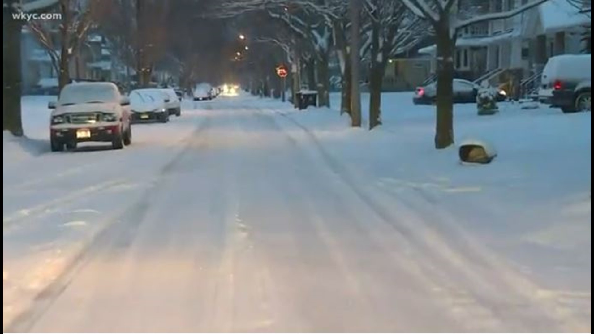 Wet and mild: Warm winter predicted for much of the US | wkyc.com