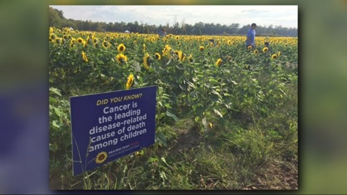 2018 will be final year for Maria's Field of Hope at Avon location ...