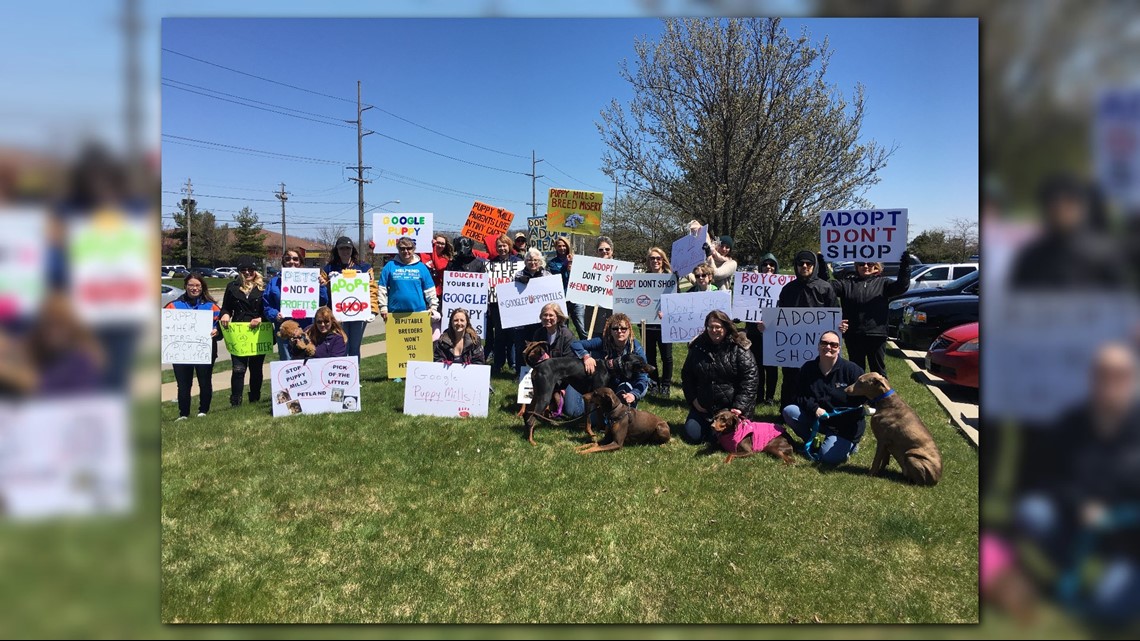 Group gathers again, to protest 'Pick of the Litter" pet store in ...