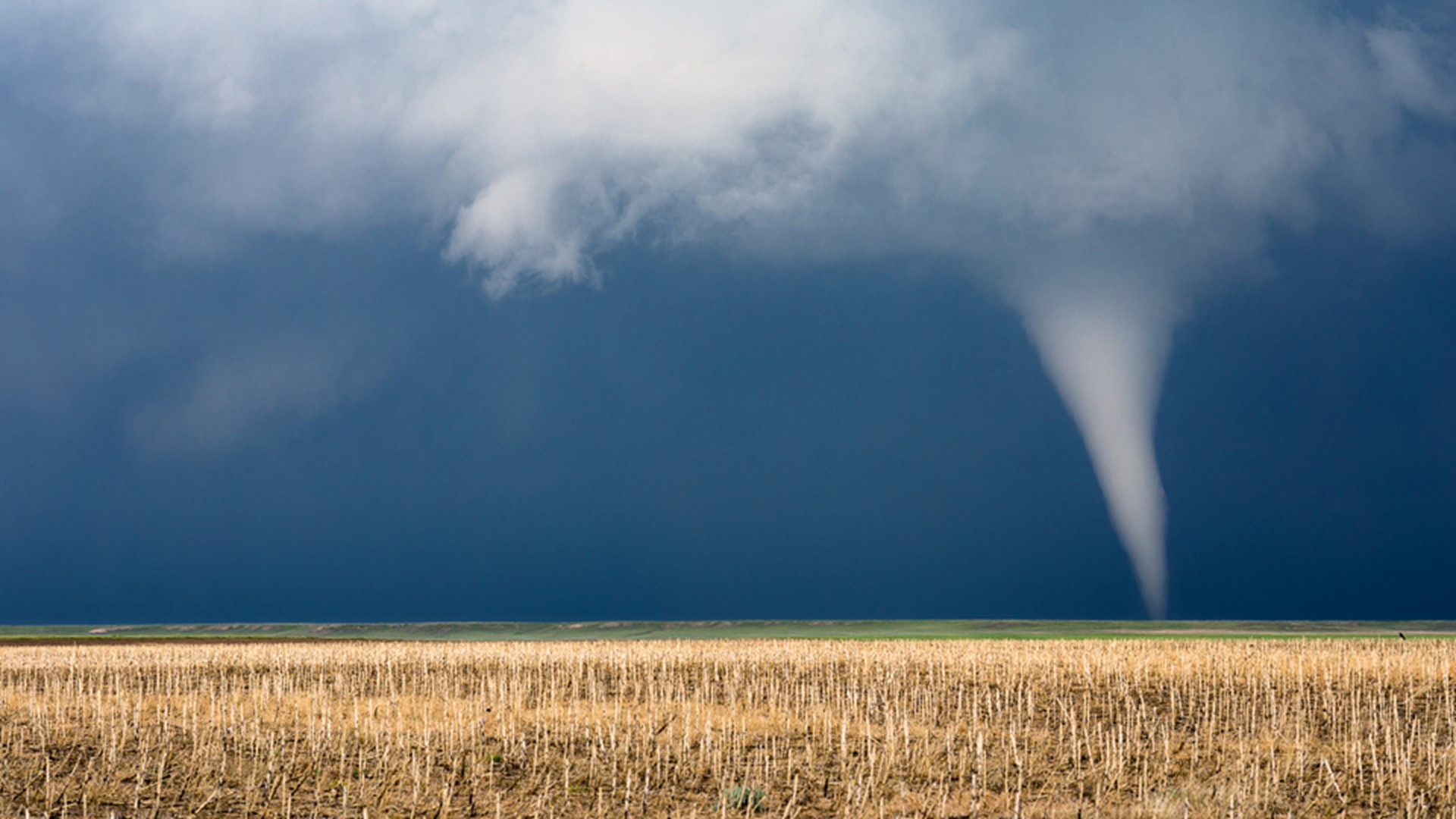 28 tornadoes confirmed in storm system across South | wkyc.com