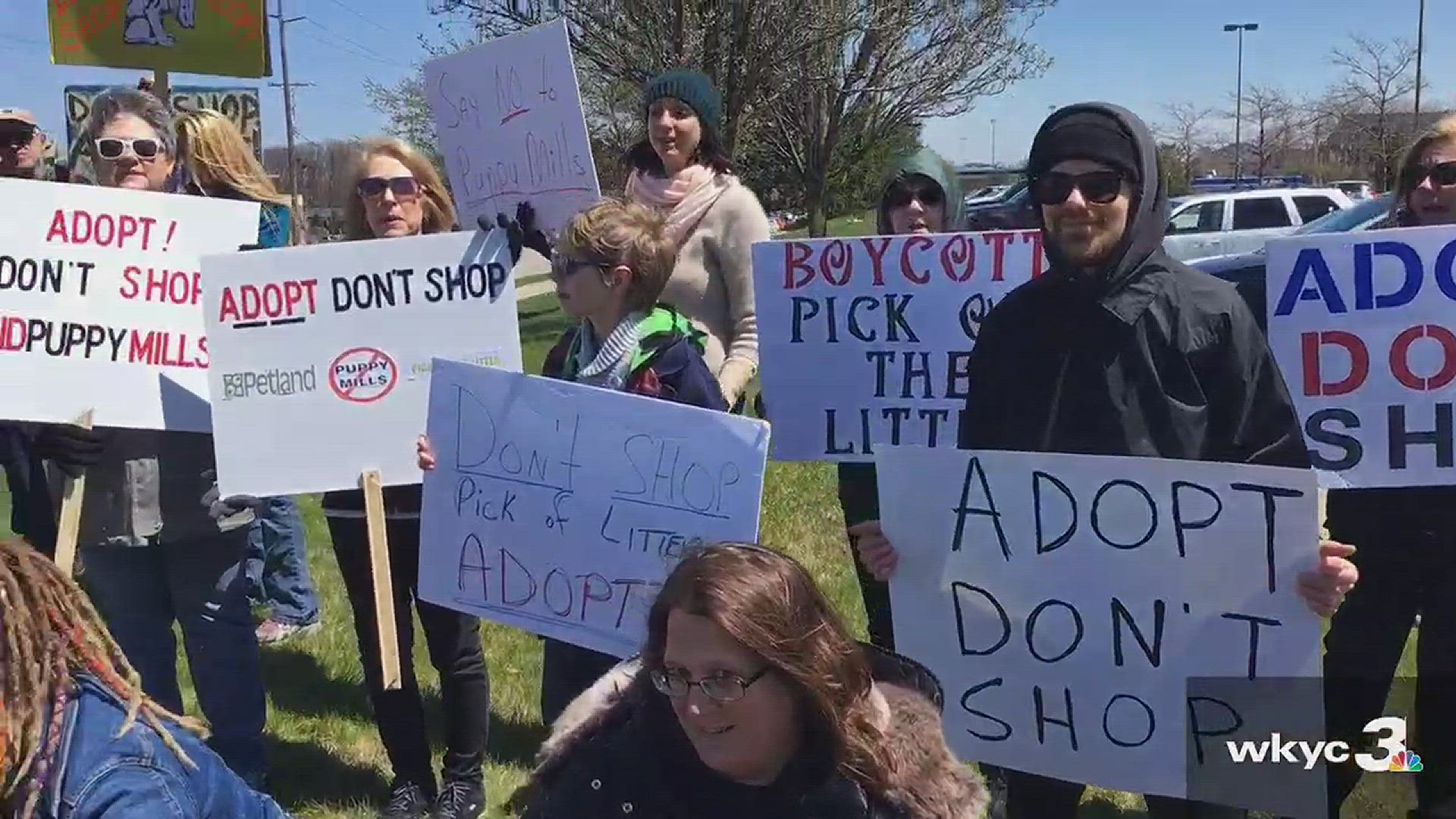 Group gathers again, to protest 'Pick of the Litter" pet store in ...