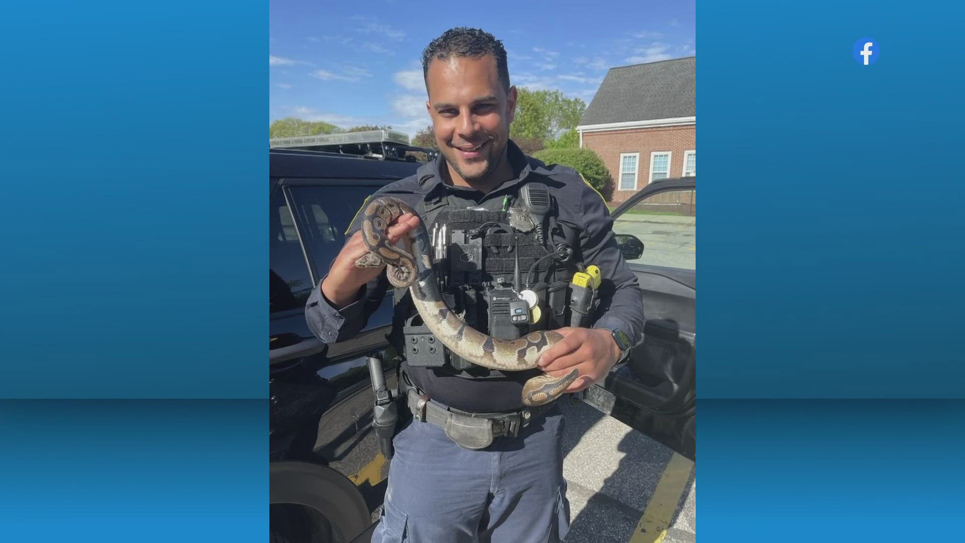 Westlake police capture ball python | wkyc.com