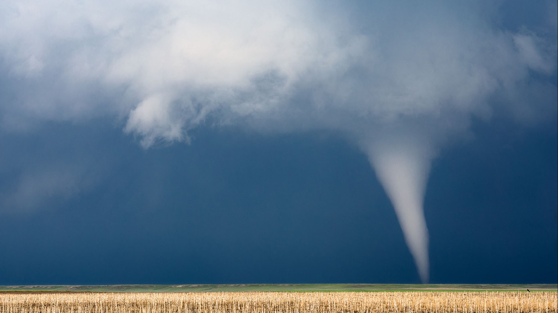 6 small tornadoes confirmed, 4 in Oklahoma and 2 in Texas | wkyc.com