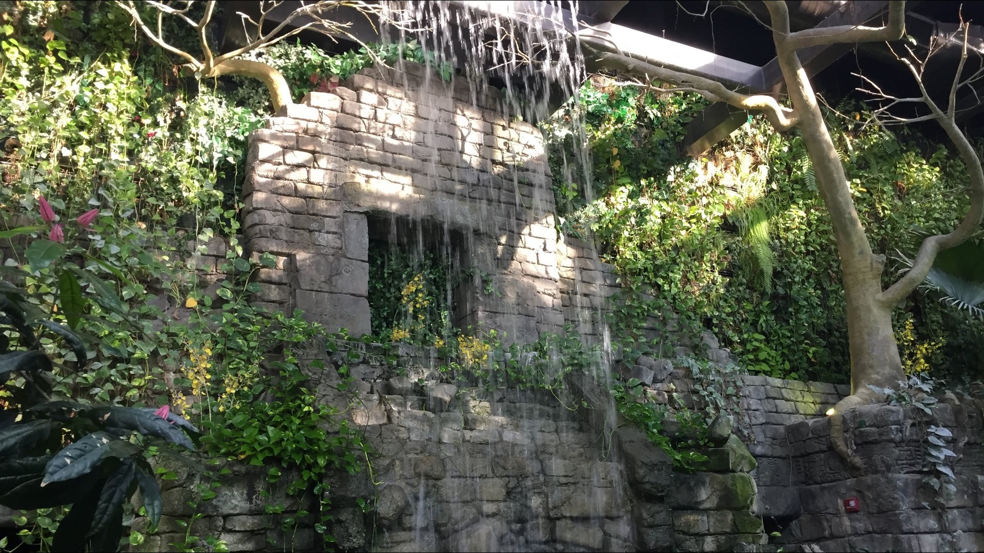 PHOTOS: Cleveland Metroparks Zoo carries on The RainForest's legacy of ...