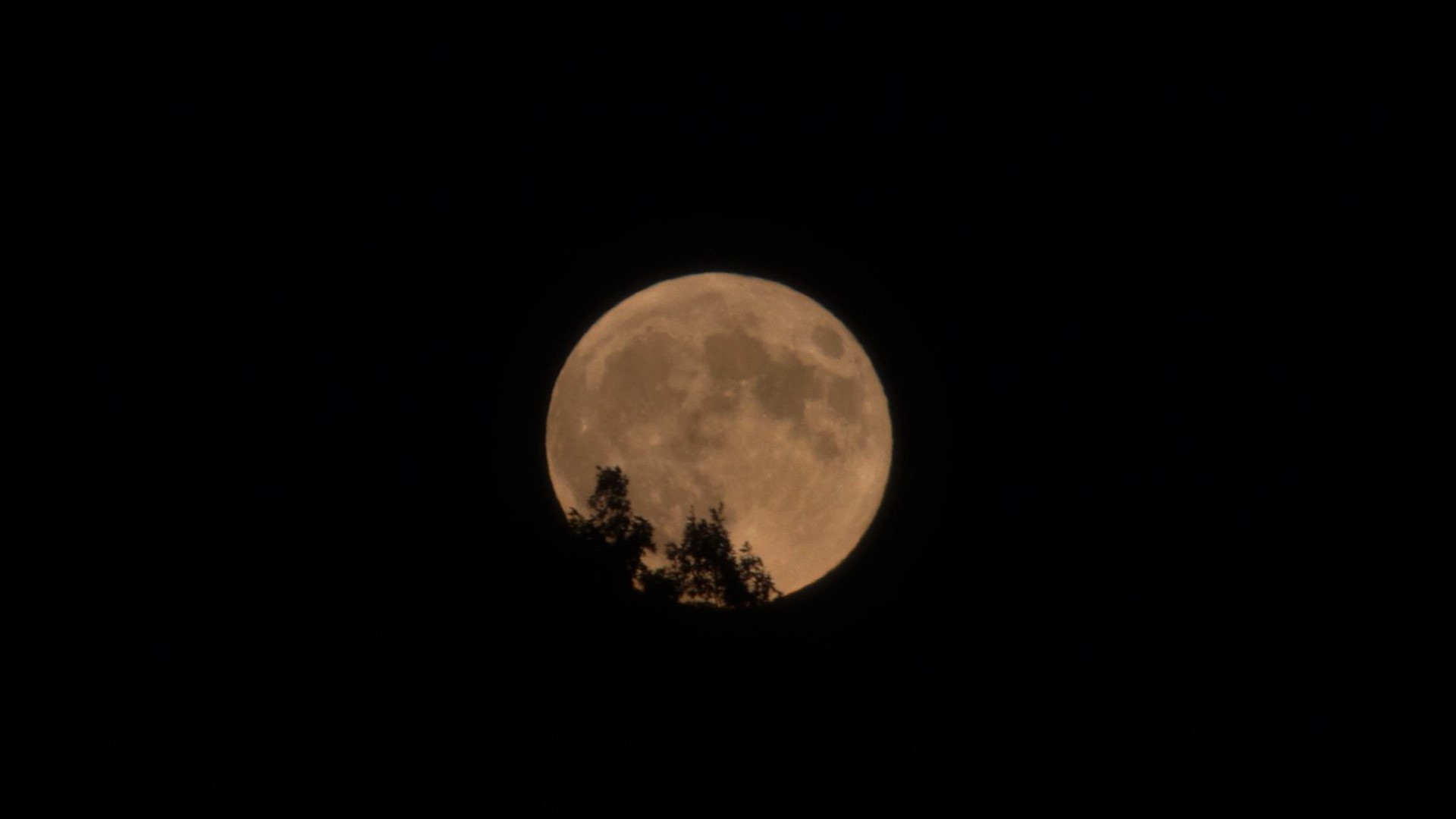 Upcoming phases of the moon | wkyc.com