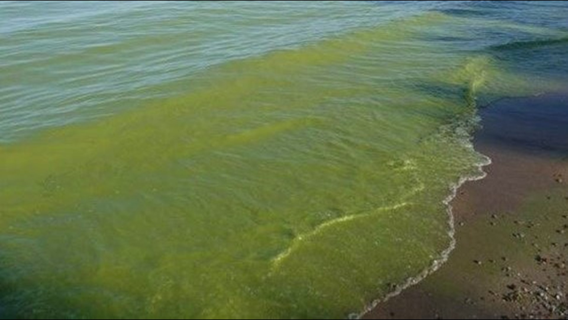 New center at Bowling Green State University to fight algal blooms ... New center at Bowling Green State University to fight algal blooms ...