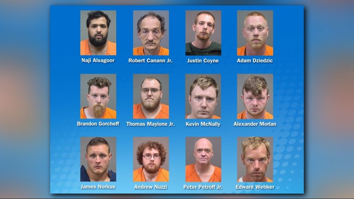 Youngstown elementary school teacher among 12 arrested in online child ...