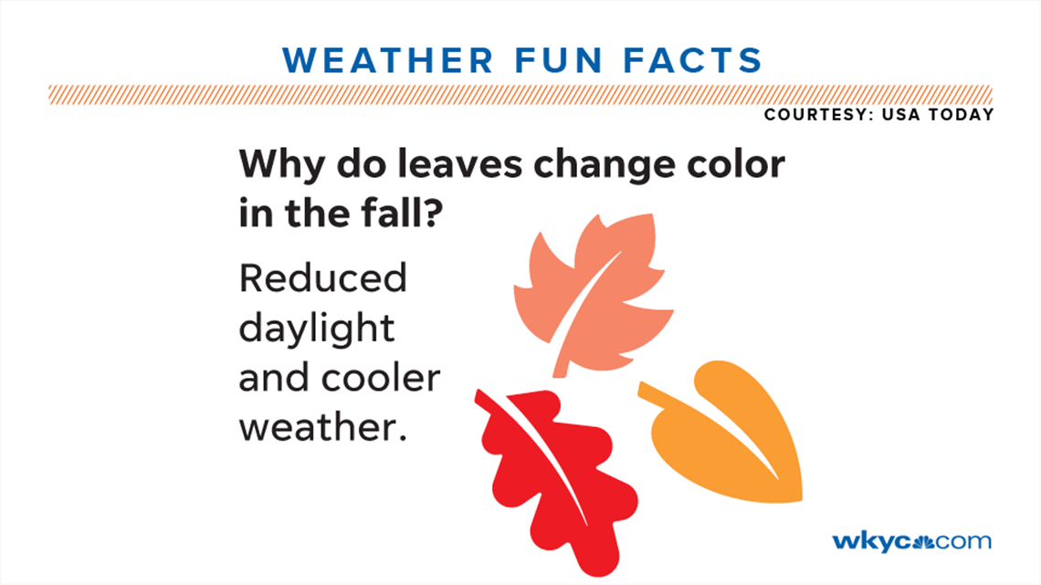 Weather Fun Facts | Interesting tidbits about the weather | wkyc.com