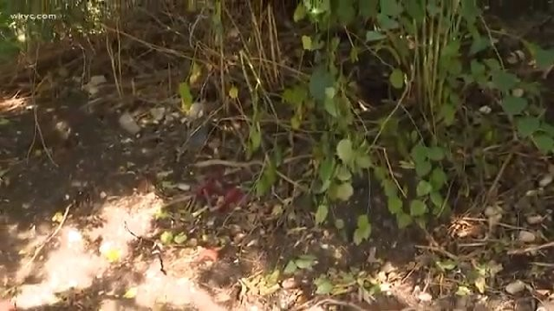 Man arrested after leading Cleveland police to woman's remains 20 years ...