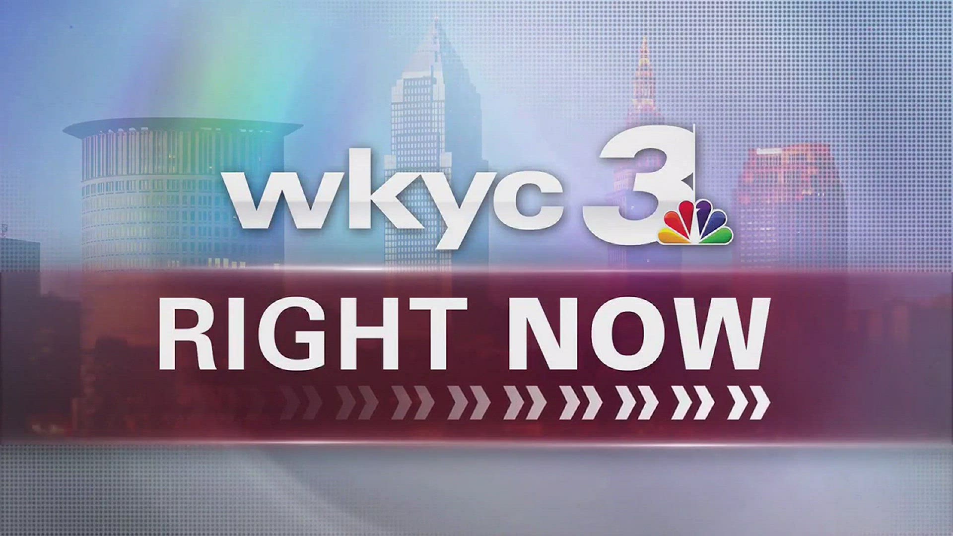 Meet Gabby from Muttley Crue Rescue and adopt her! | wkyc.com